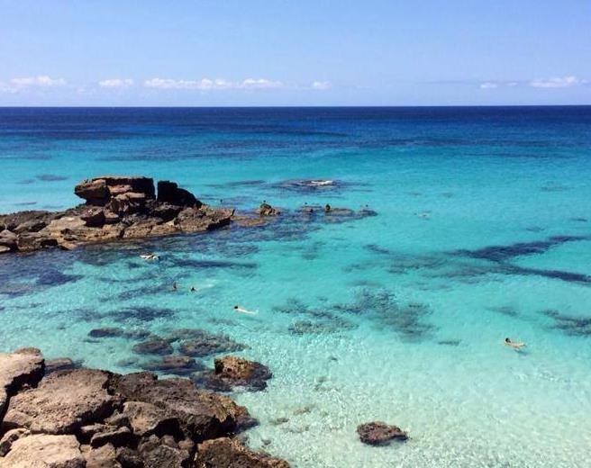 Formentera, Why You Must Visit | Best of Mallorca